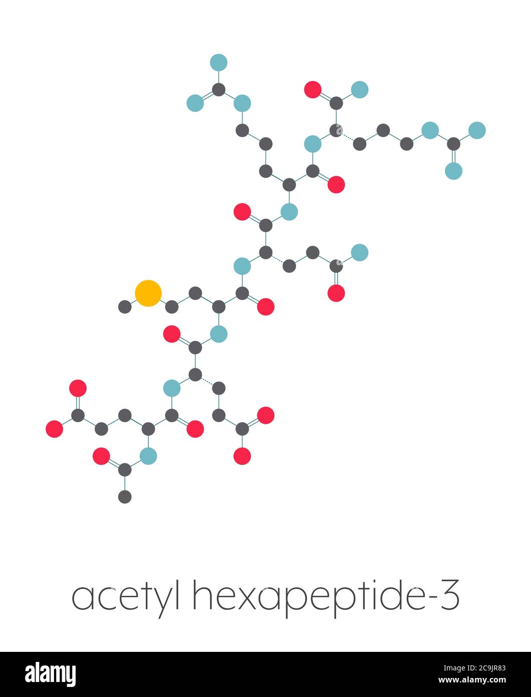Acetyl hexapeptide-3 (argireline) molecule. Peptide fragment of SNAP-25 ...