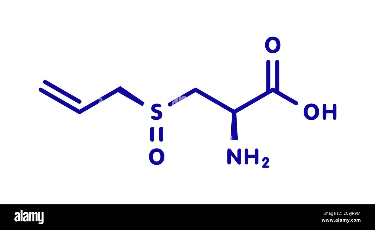 Alliin garlic molecule. Blue skeletal formula on white background Stock ...