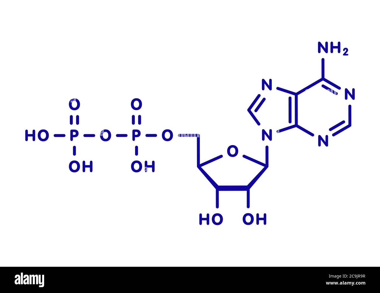 Formula of adenosine triphosphate hi-res stock photography and images ...