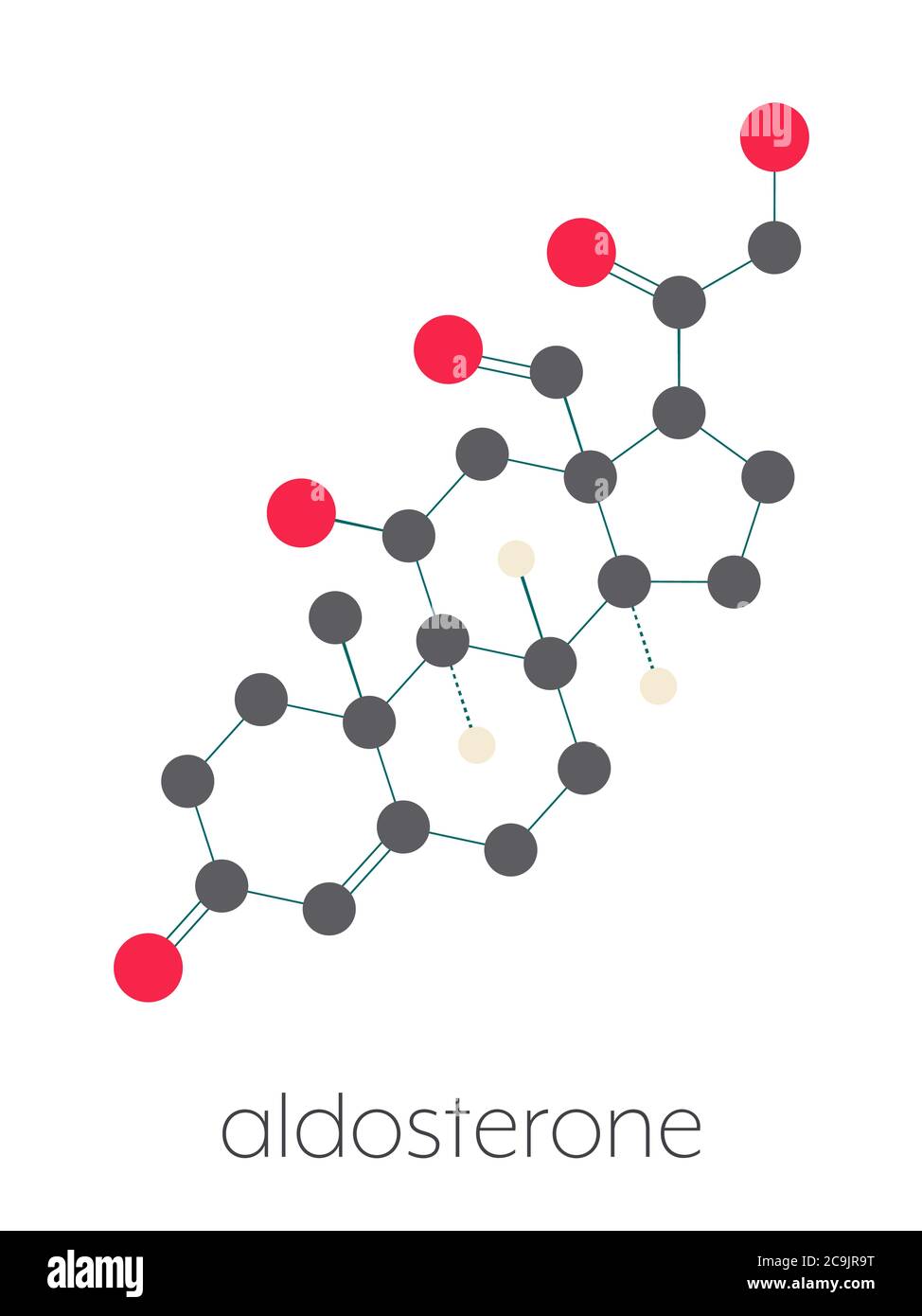 Structure of adrenal gland hi-res stock photography and images - Alamy