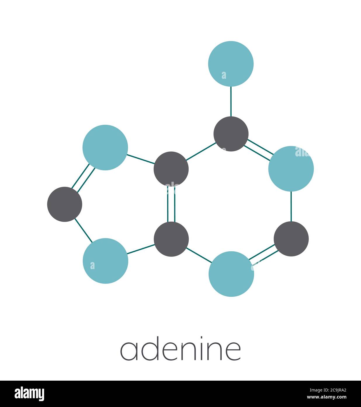 Adenine (A, Adenine) purine nucleobase molecule. Base present in DNA ...