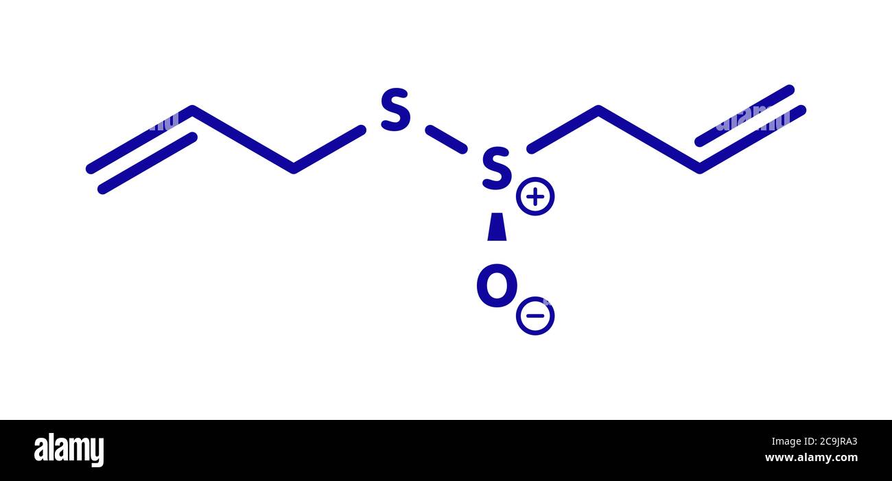 Allicin garlic molecule. Formed from alliin by the enzyme alliinase ...