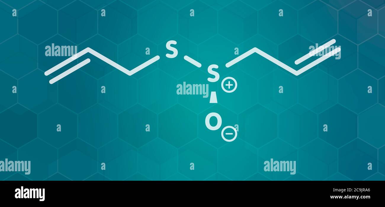 Allicin garlic molecule. Formed from alliin by the enzyme alliinase ...