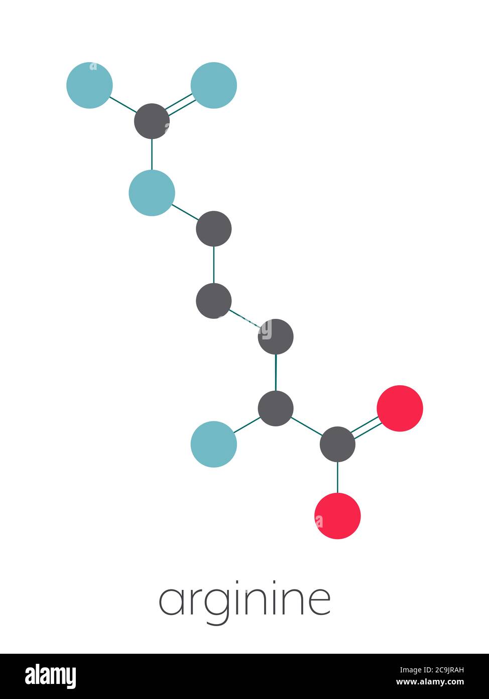 Arginine (L-arginine, Arg, R) amino acid molecule. Stylized skeletal ...