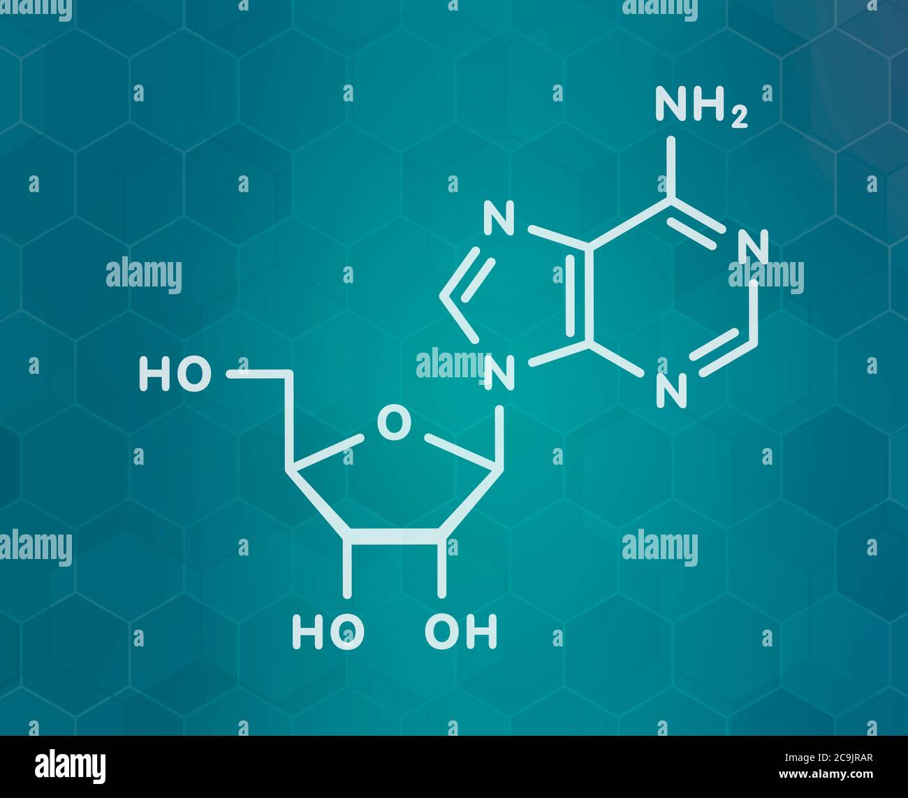 Adenosine (Ado) purine nucleoside molecule. Important component of ATP ...