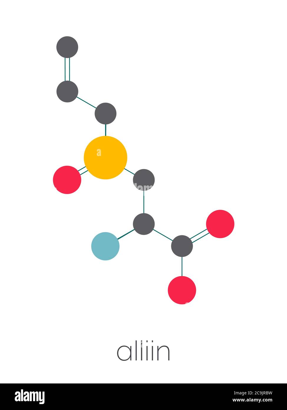 Alliin garlic molecule. Stylized skeletal formula (chemical structure ...