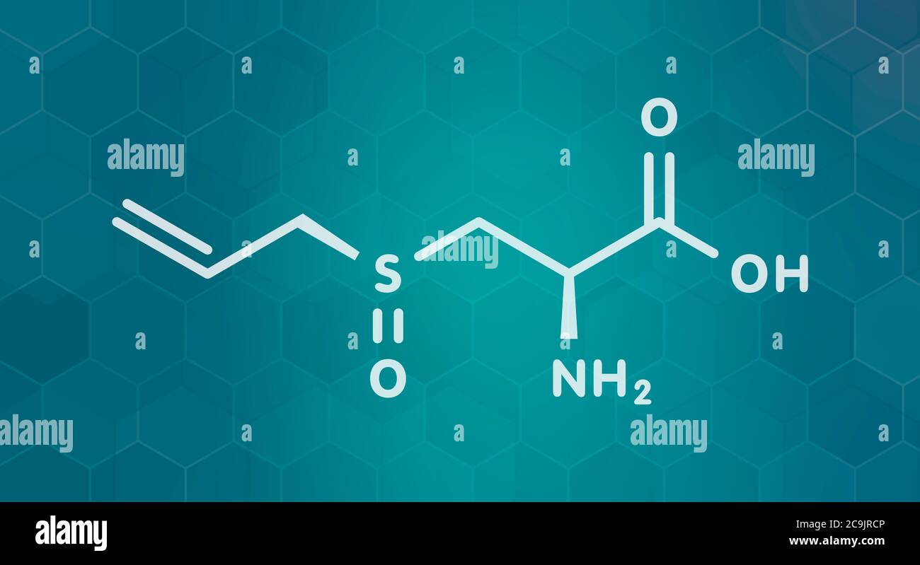 Alliin garlic molecule. White skeletal formula on dark teal gradient ...