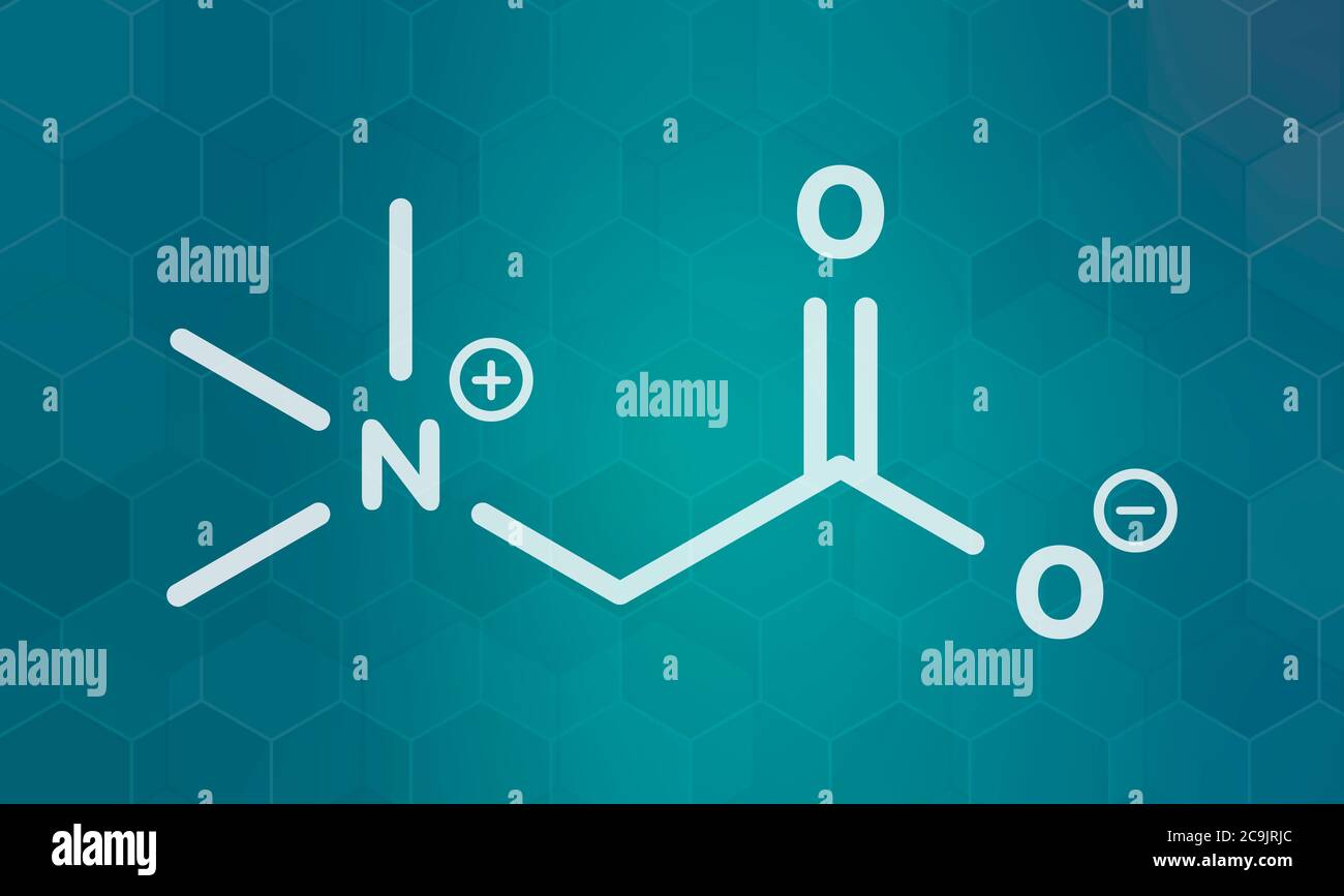 Betaine (glycine betaine, trimethylglycine) molecule. Originally found ...