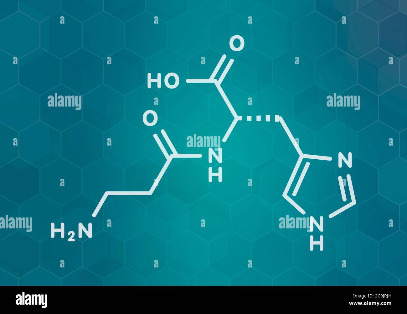 Carnosine (L-carnosine) food supplement molecule. White skeletal ...