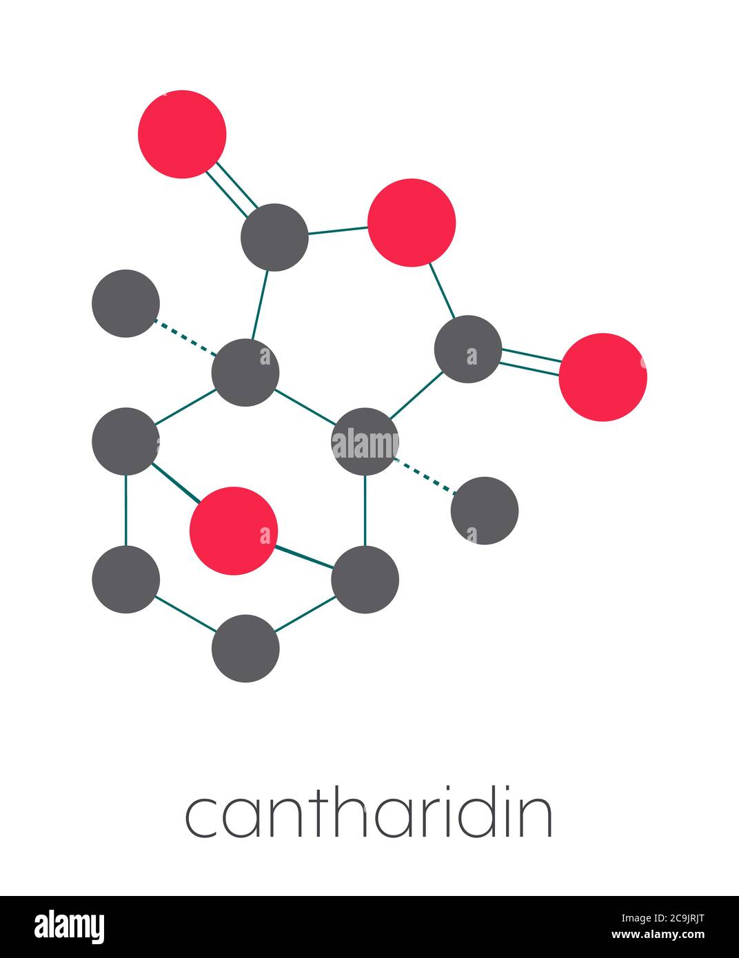 Cantharidin blister beetle poison molecule. Secreted by blister beetles ...