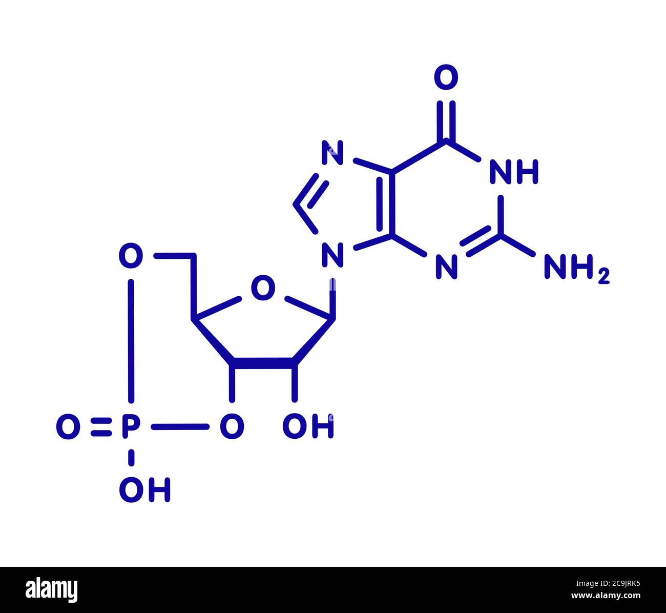 Guanosine Monophosphate