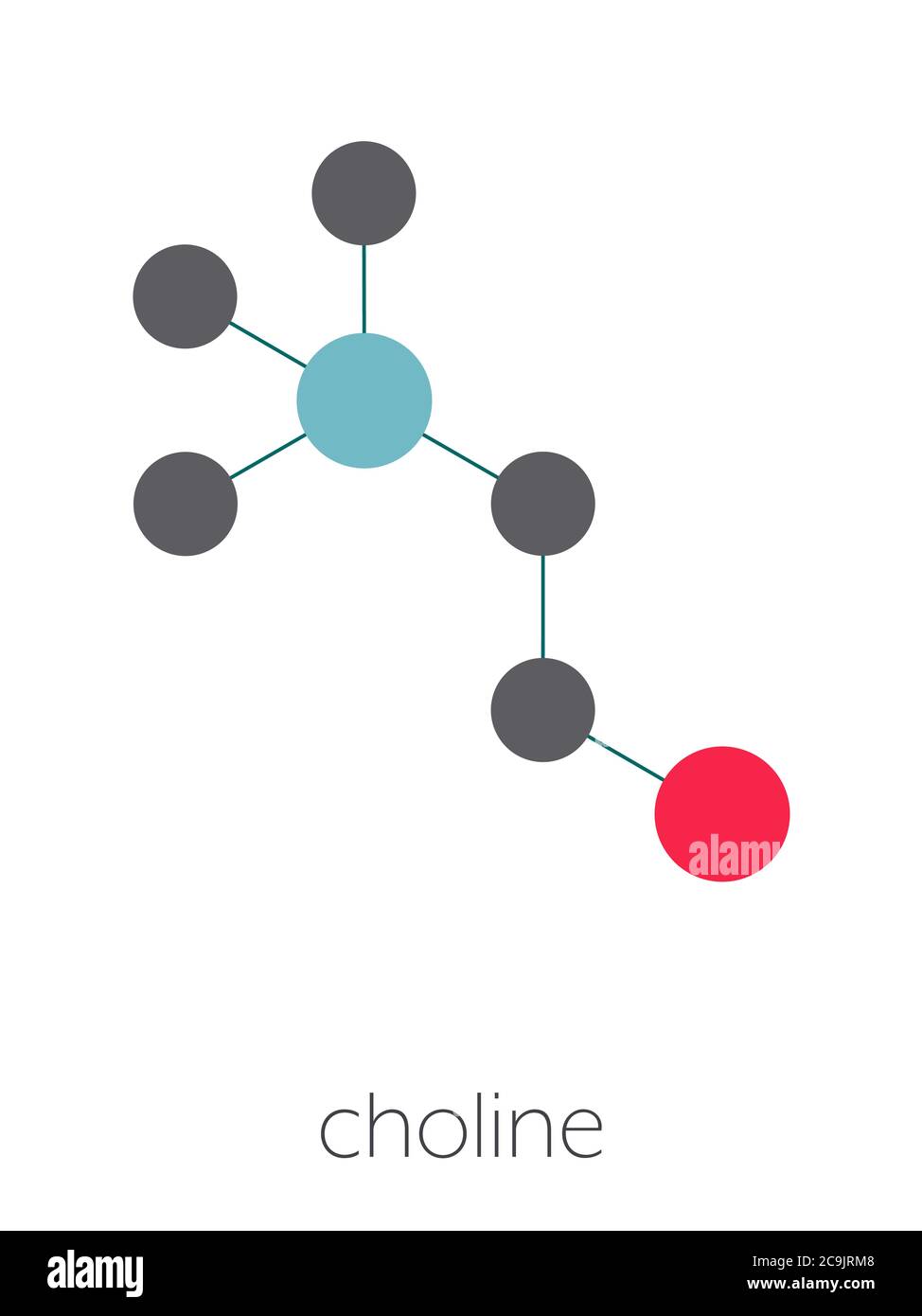 Choline essential nutrient molecule. Stylized skeletal formula ...