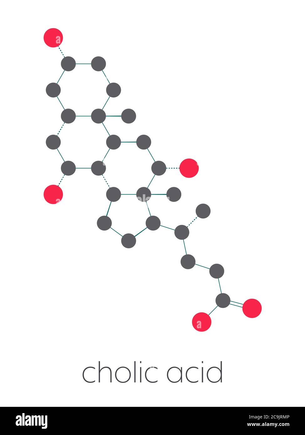 Cholic acid (cholate) molecule. Main bile acid component. Stylized ...