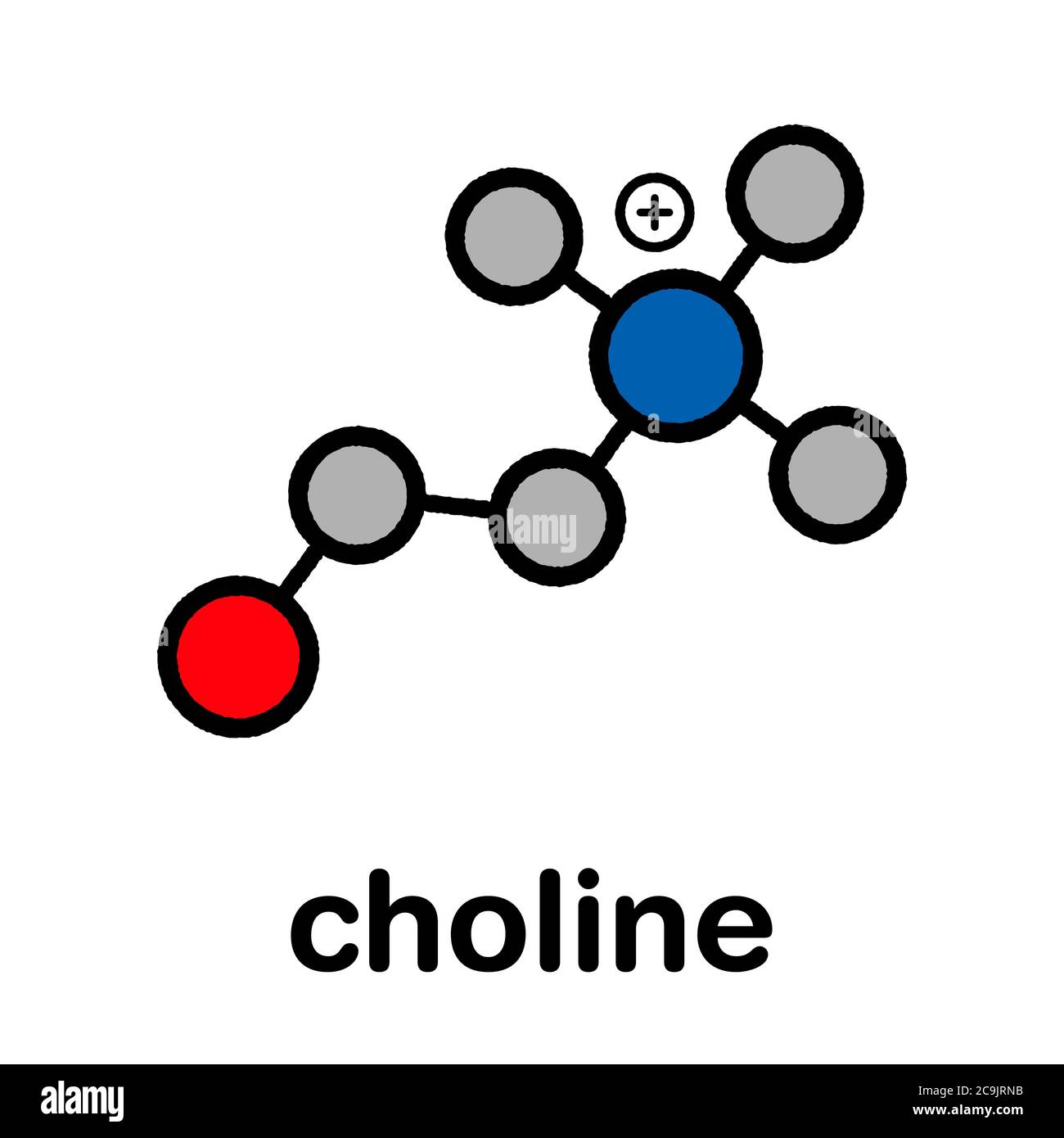 Choline essential nutrient molecule. Stylized skeletal formula ...