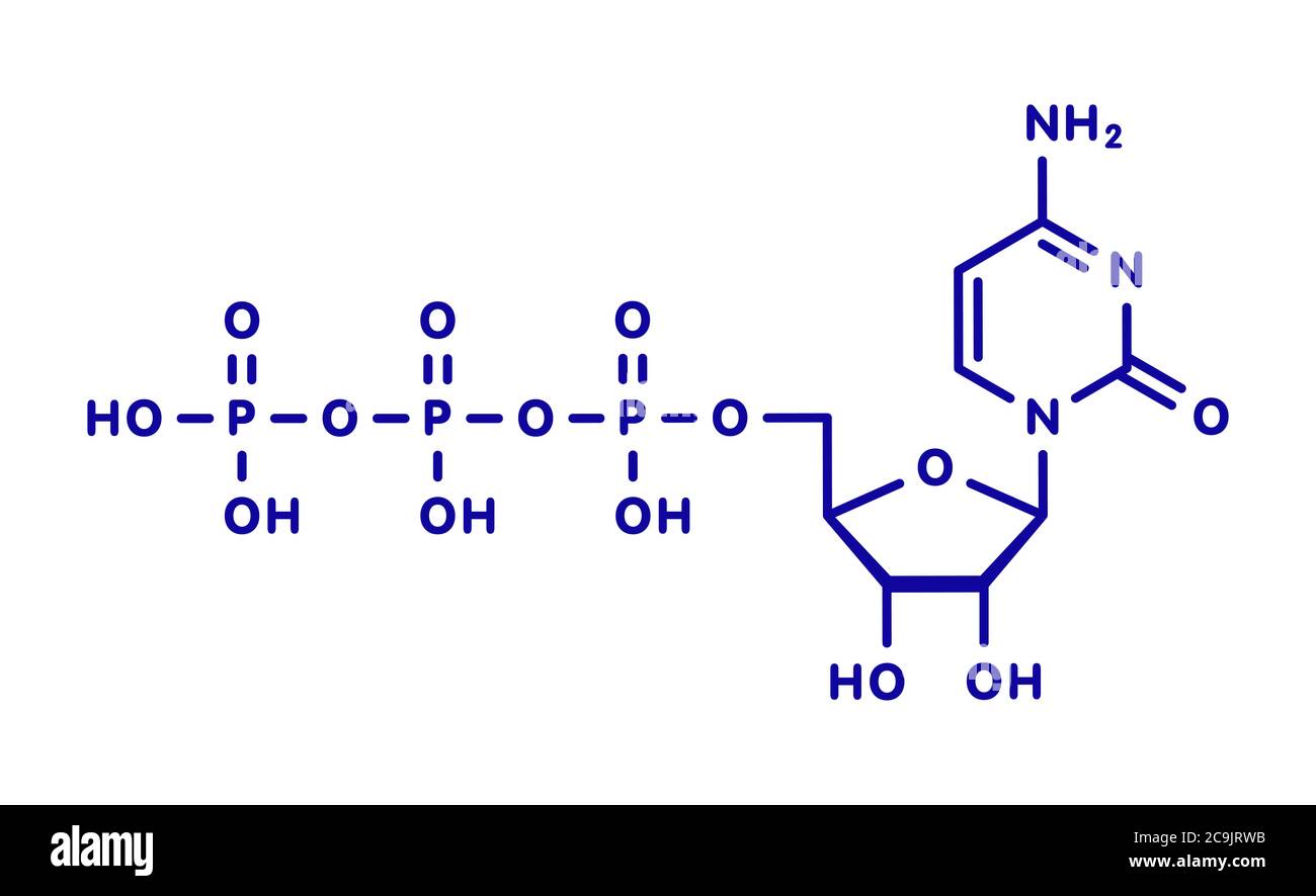 Cytidine Triphosphate Ctp Rna Building Block Molecule Also Functions As Cofactor To Some