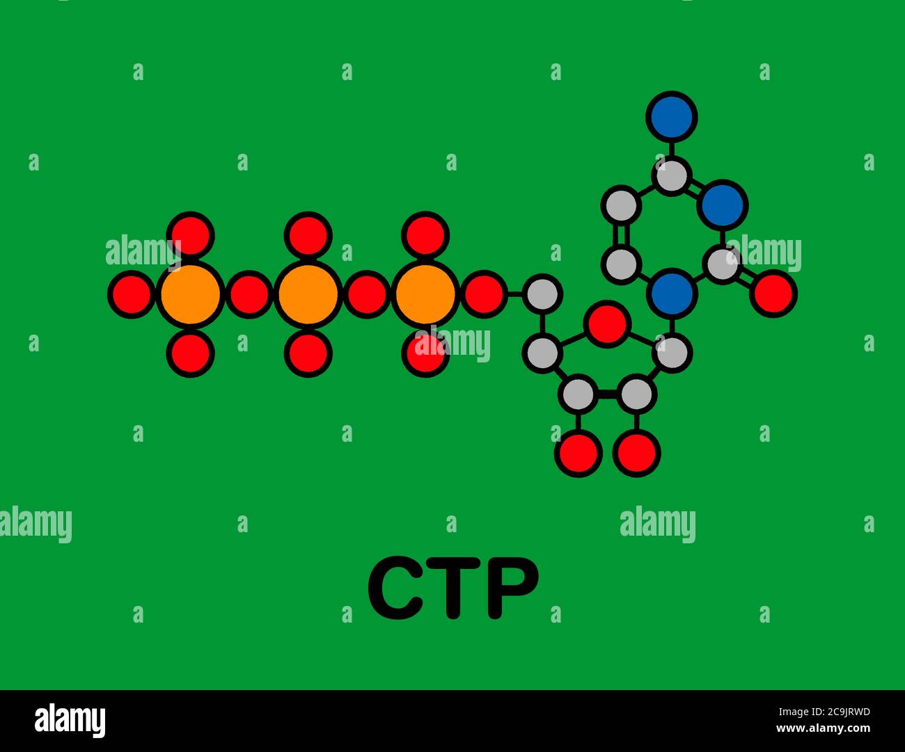 Cytidine Triphosphate Ctp Rna Building Block Molecule Also Functions