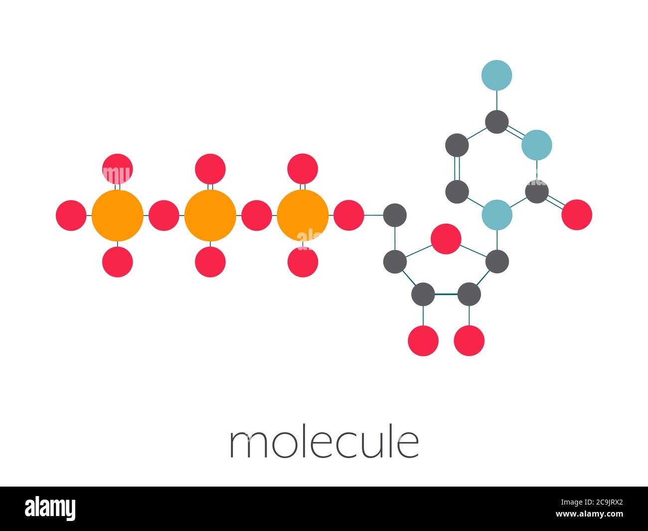 Cytidine Triphosphate Ctp Rna Building Block Molecule Also Functions As Cofactor To Some