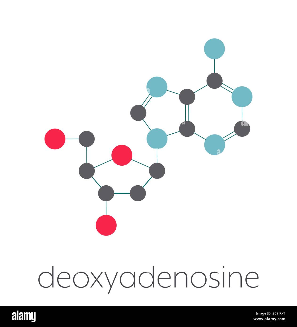 Deoxyadenosine (dA) nucleoside molecule. DNA building block. Stylized ...