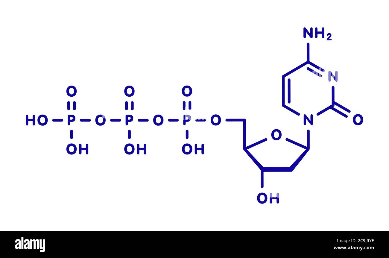 Deoxycytidine triphosphate (dCTP) nucleotide molecule. DNA building ...