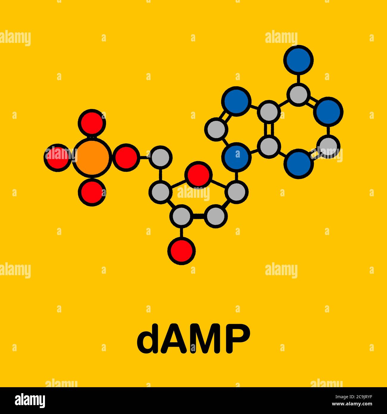 Deoxyadenosine monophosphate (dAMP) nucleotide molecule. DNA building ...
