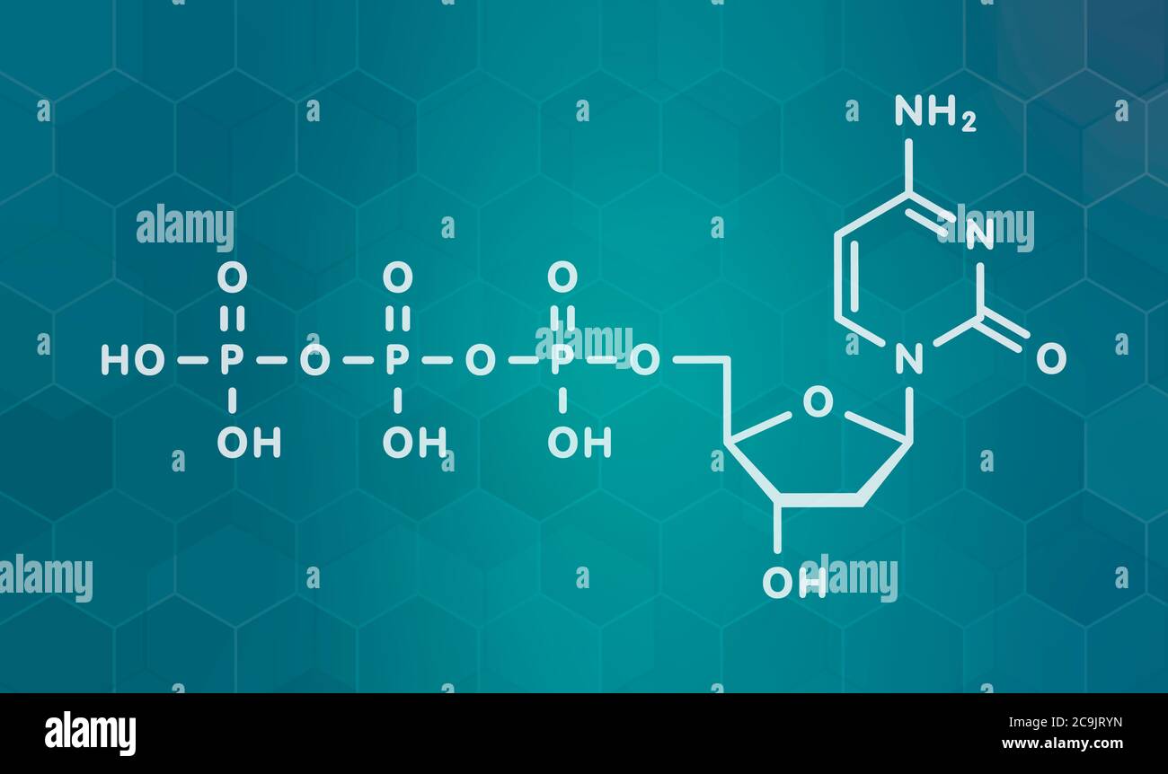 Deoxycytidine triphosphate (dCTP) nucleotide molecule. DNA building ...