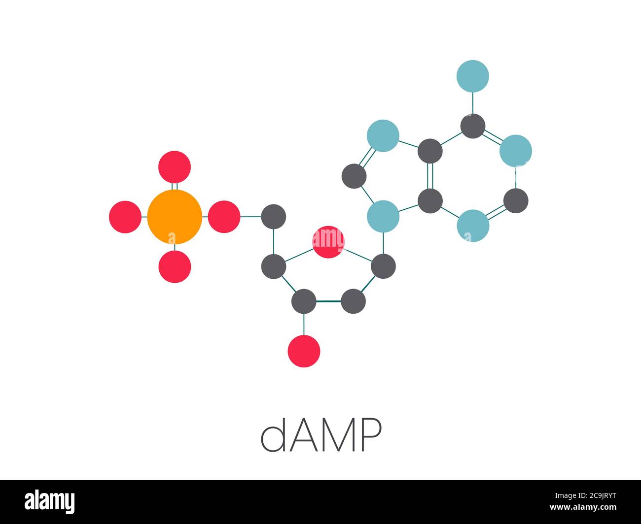 Deoxyadenosine monophosphate (dAMP) nucleotide molecule. DNA building ...