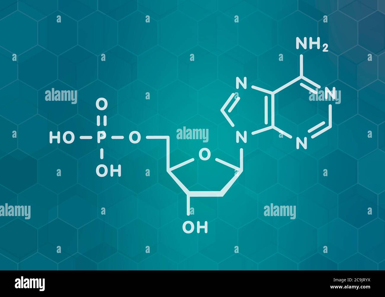Deoxyadenosine monophosphate (dAMP) nucleotide molecule. DNA building ...