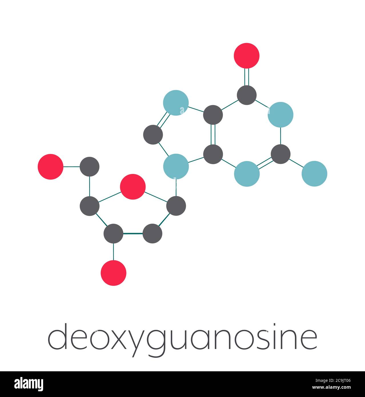 Deoxyguanosine (dG) nucleoside molecule. DNA building block. Stylized ...