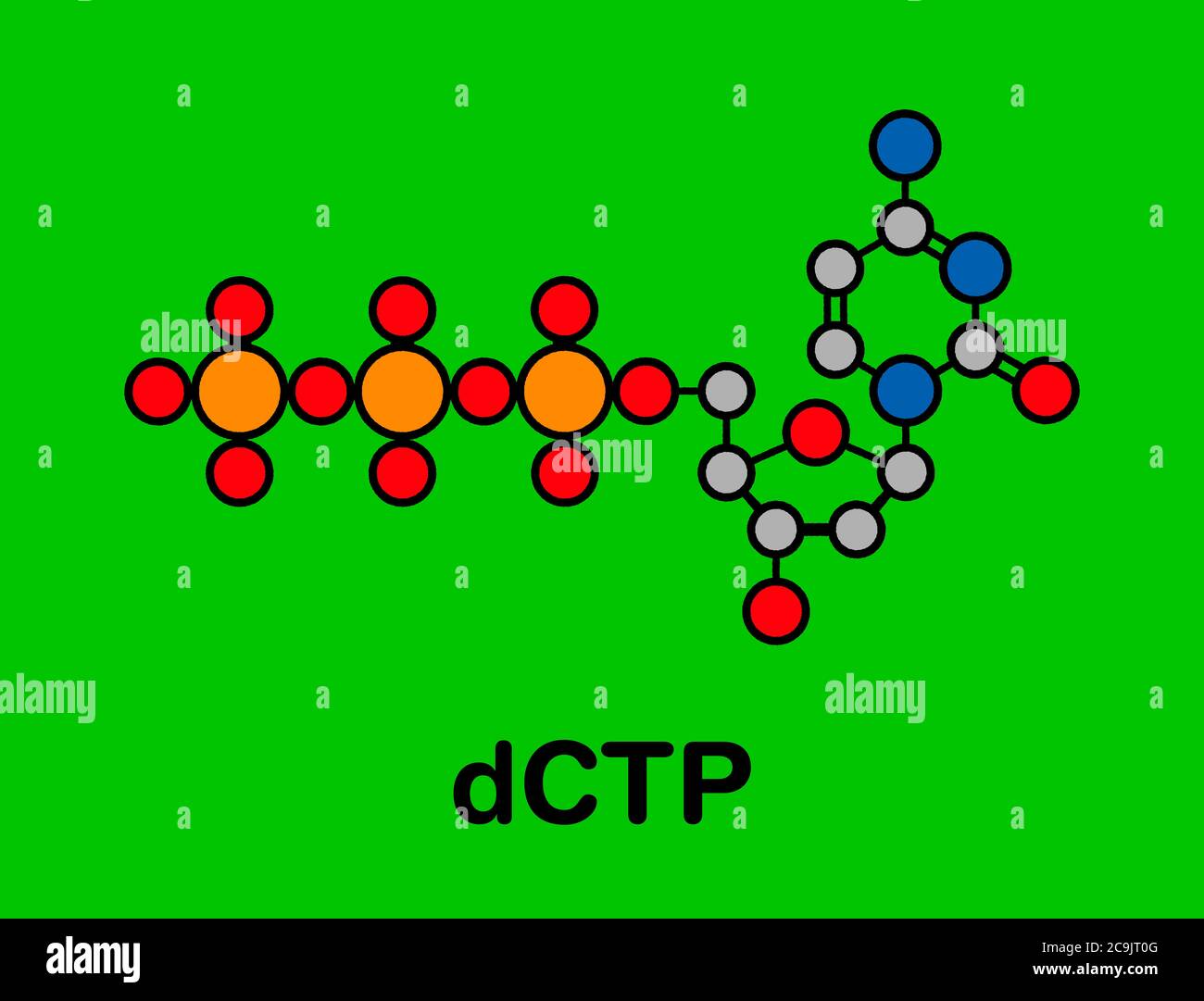 Deoxycytidine triphosphate (dCTP) nucleotide molecule. DNA building ...