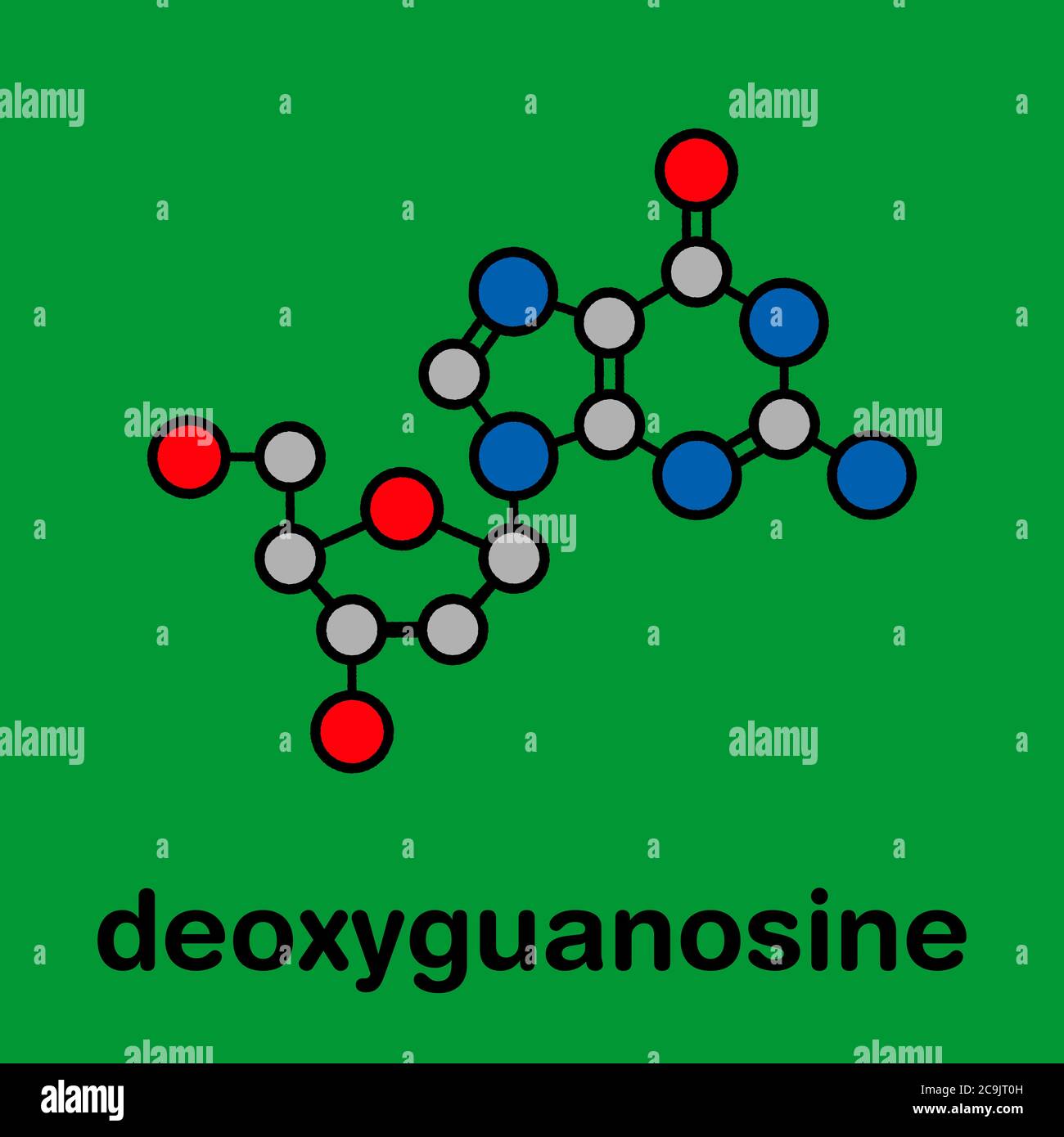 Deoxyguanosine (dG) nucleoside molecule. DNA building block. Stylized ...
