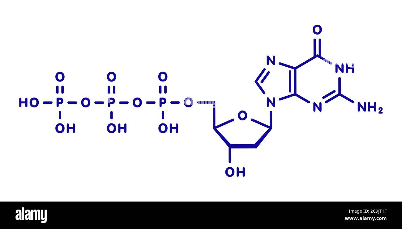 Deoxyguanosine triphosphate (dGTP) nucleotide molecule. DNA building ...