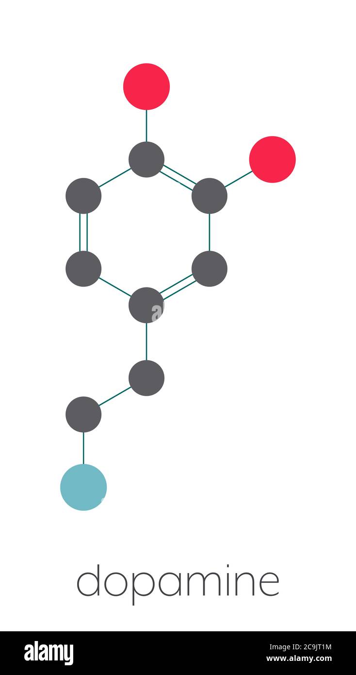 Dopamine Molecule Ionic Bond