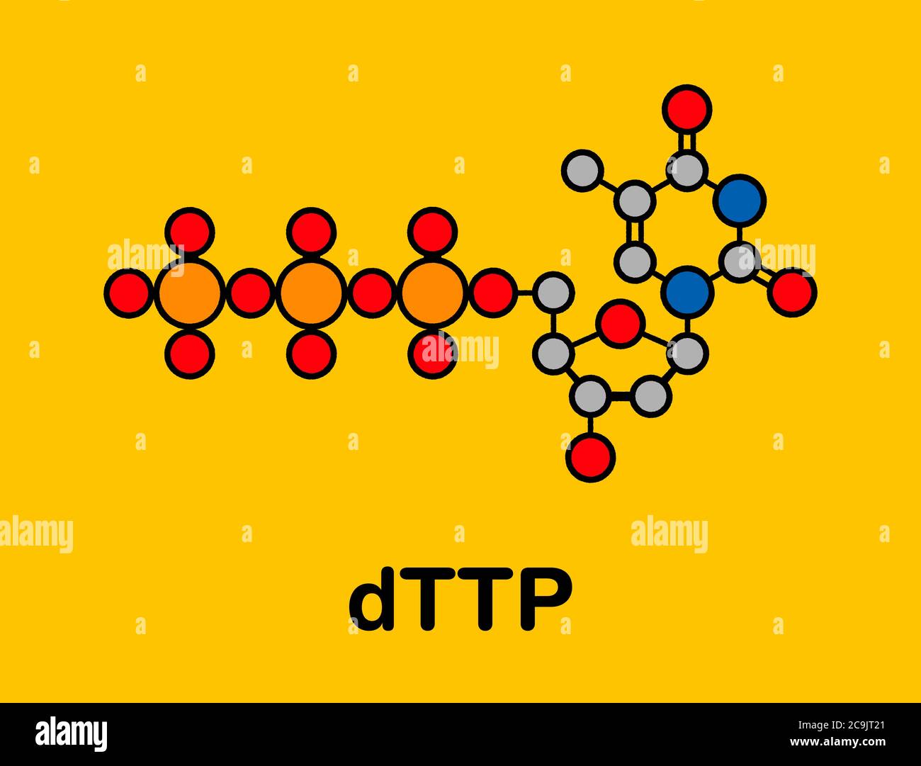 Thymidine triphosphate (TTP) nucleotide molecule. DNA building block ...