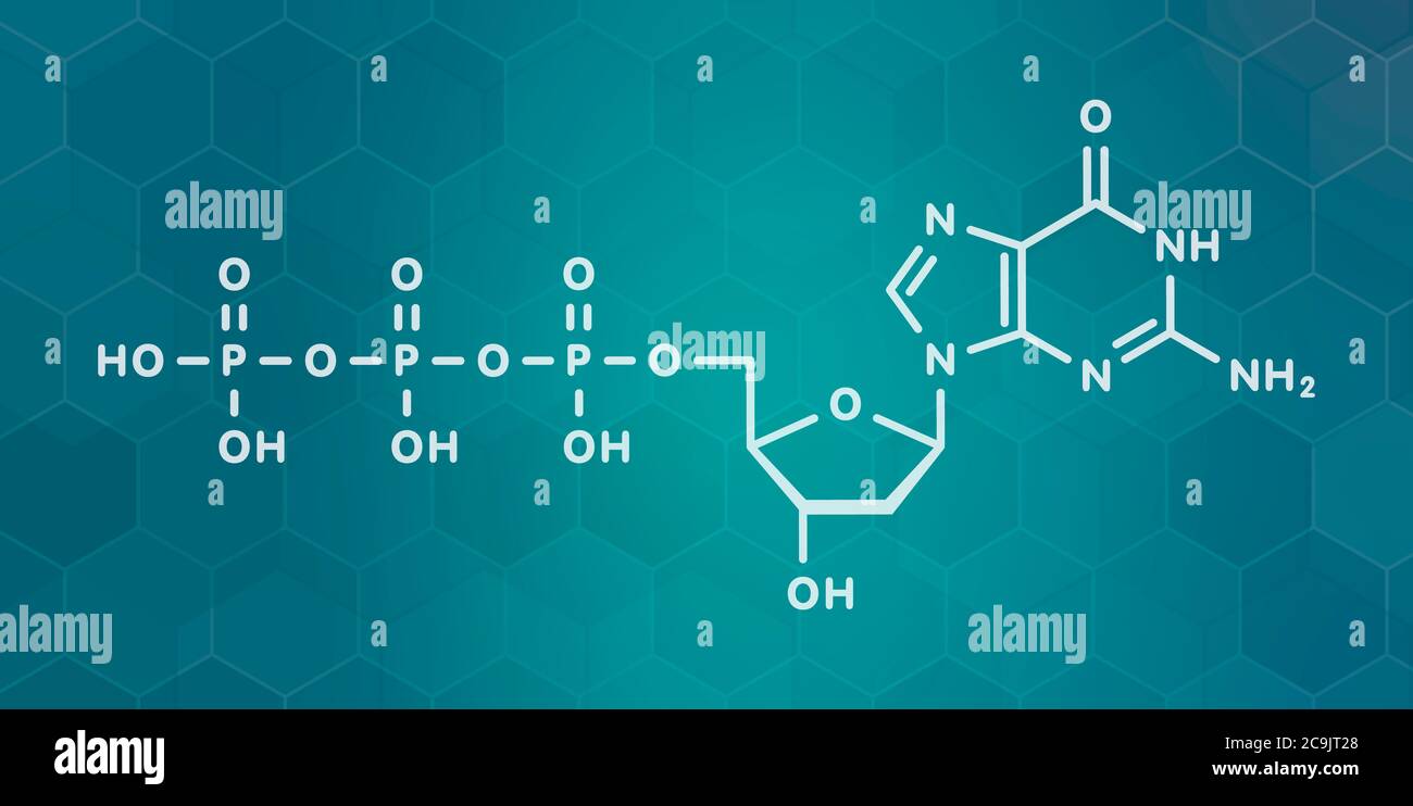 Deoxyguanosine triphosphate (dGTP) nucleotide molecule. DNA building ...