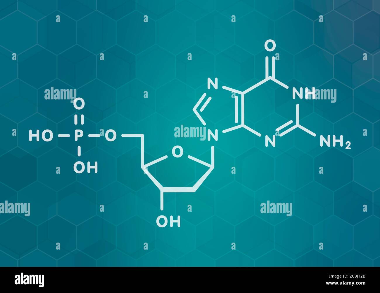 Deoxyguanosine monophosphate (dGMP) nucleotide molecule. DNA building ...