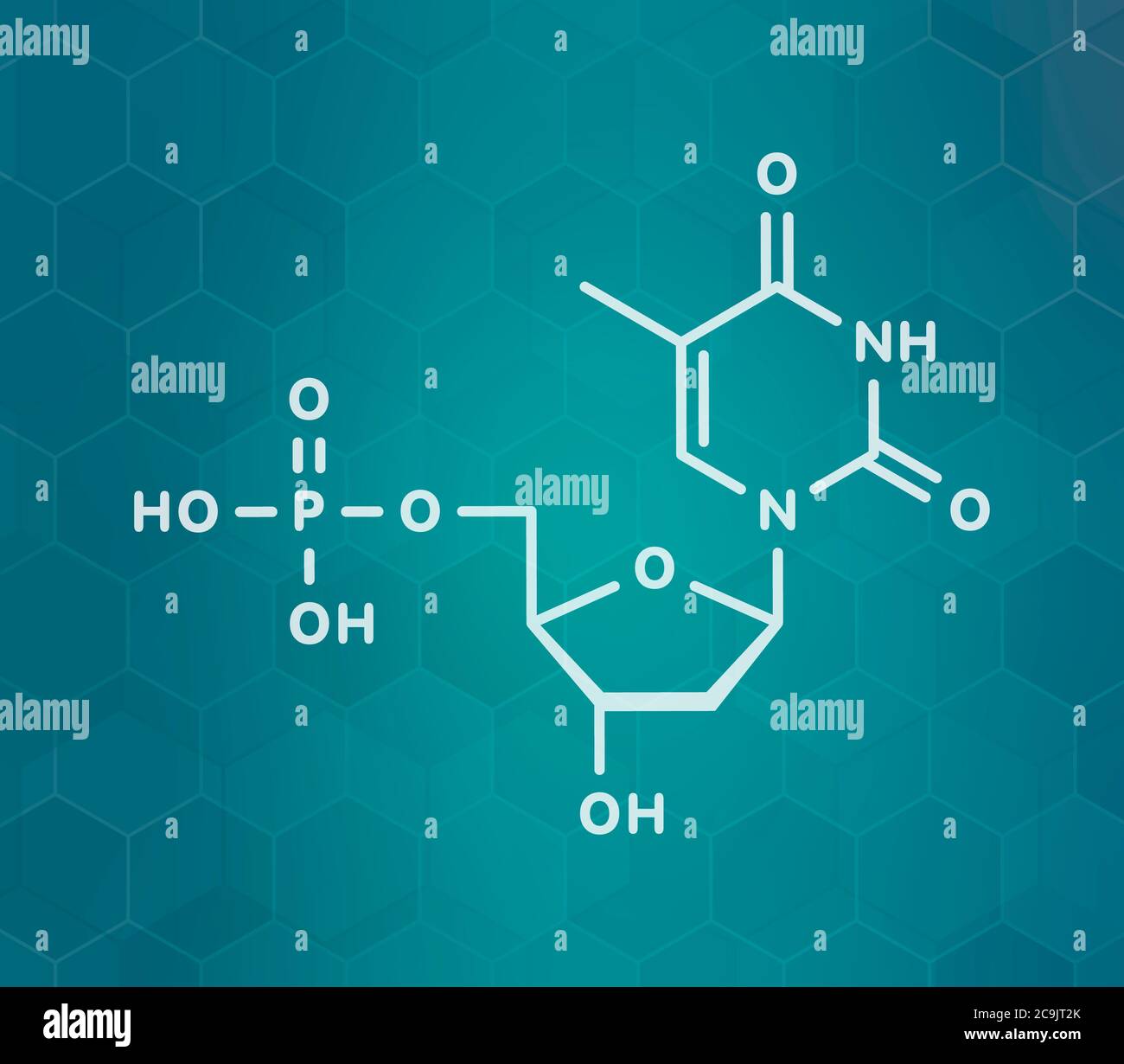 Thymidine Monophosphate Tmp Thymidylate Nucleotide Molecule Dna Building Block White