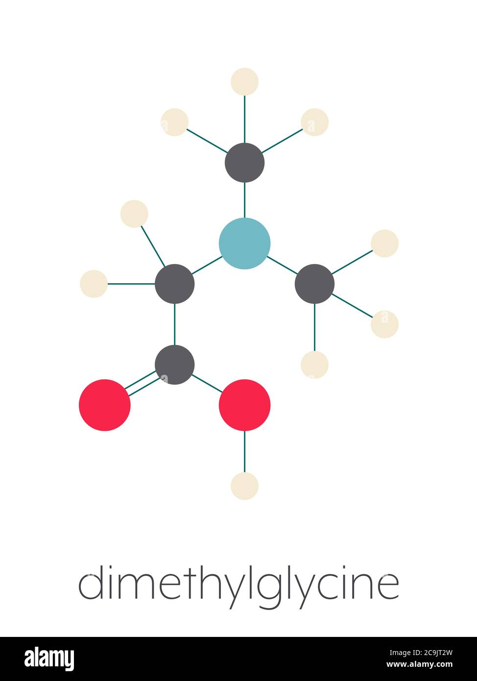 Dimethylglycine (DMG) molecule. Methylated derivative of glycine, used ...