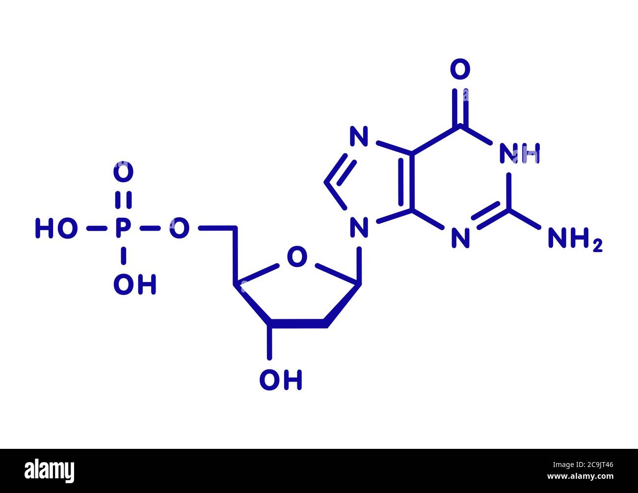 Deoxyguanosine monophosphate (dGMP) nucleotide molecule. DNA building ...