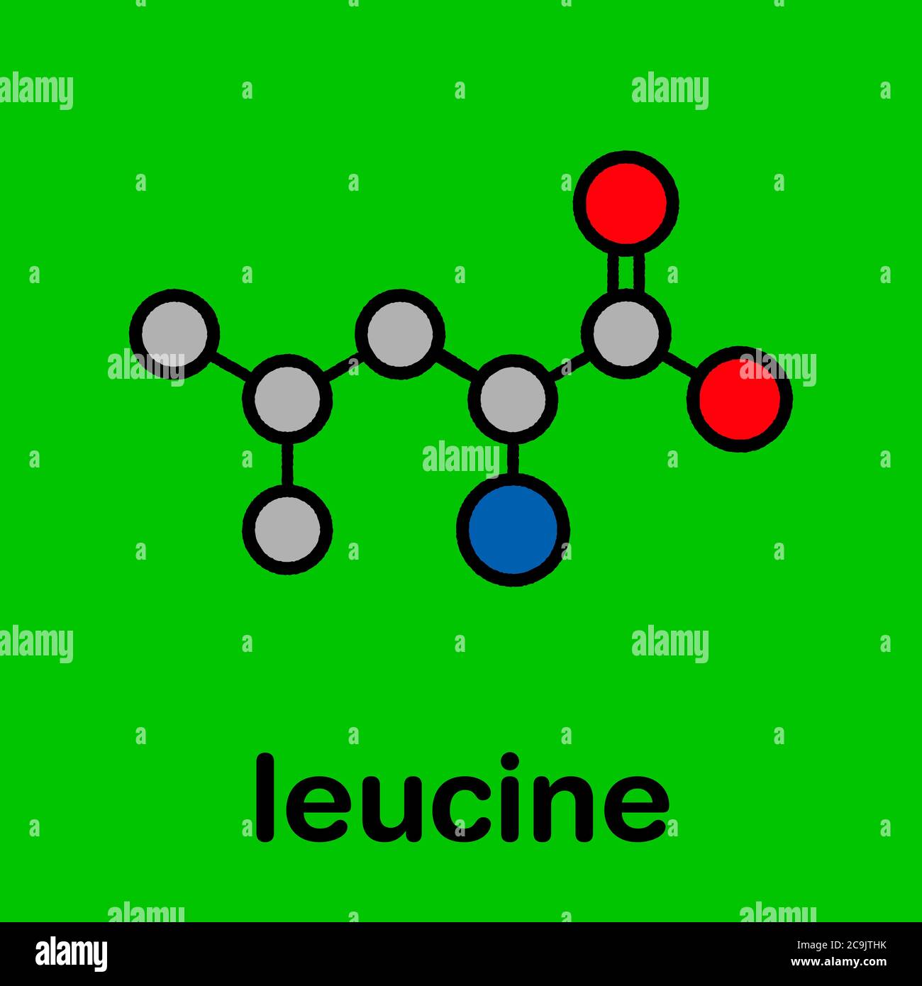 Leucine (l-leucine, Leu, L) amino acid molecule. Stylized skeletal ...