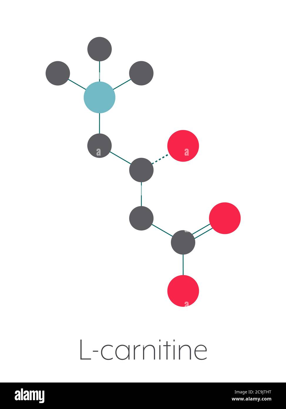 Carnitine food supplement molecule. Stylized skeletal formula (chemical ...