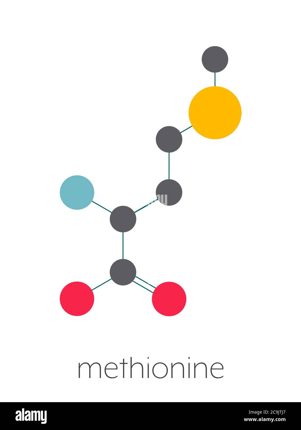 Methionine (L-methionine, Met, M) amino acid molecule. Stylized ...