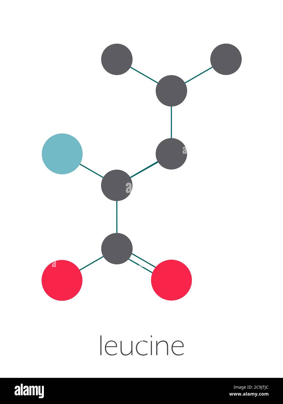 Leucine Structure
