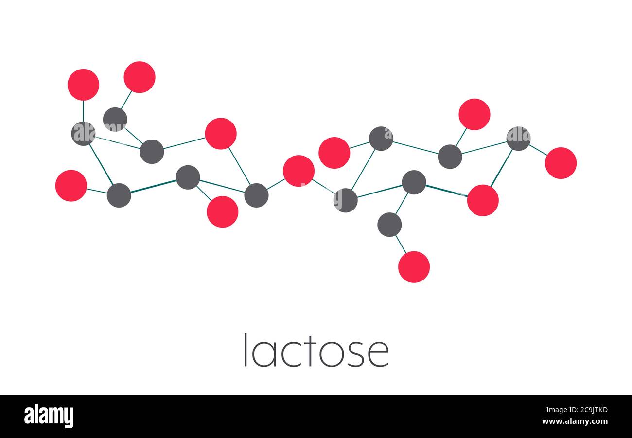 Lactose milk sugar molecule. Stylized skeletal formula (chemical ...