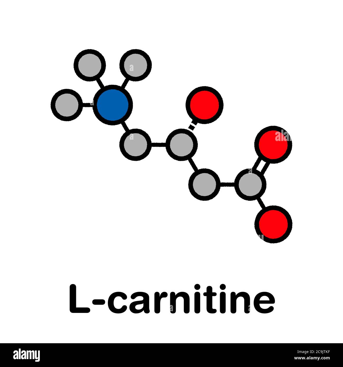 Carnitine food supplement molecule. Stylized skeletal formula (chemical ...