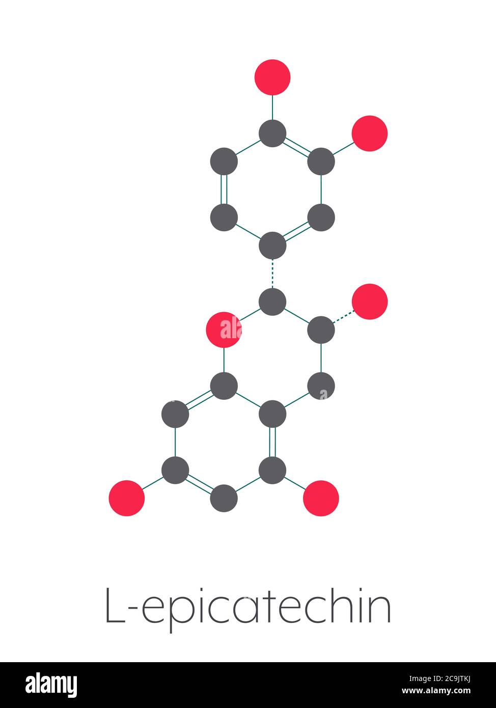 Epicatechin (l-epicatechin) chocolate flavonoid molecule. Stylized ...