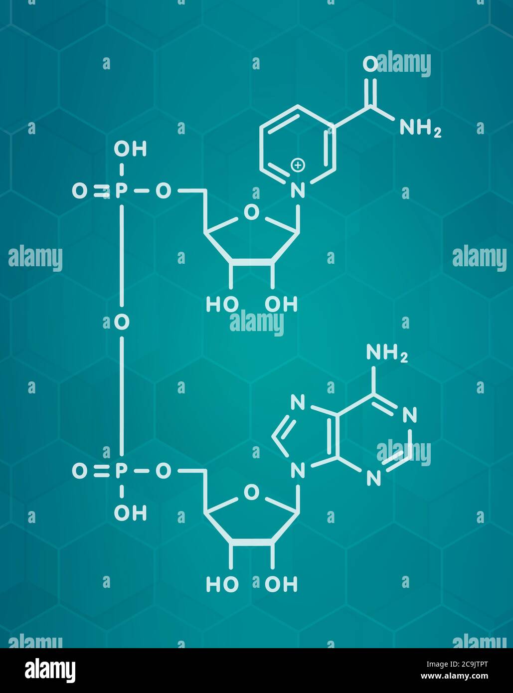 Nadp High Resolution Stock Photography and Images - Alamy