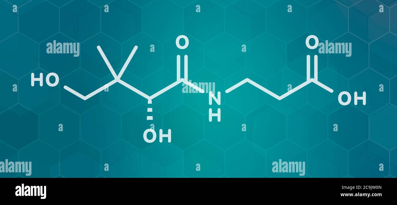 Vitamin B5 (pantothenic acid, pantothenate) molecule. White skeletal ...