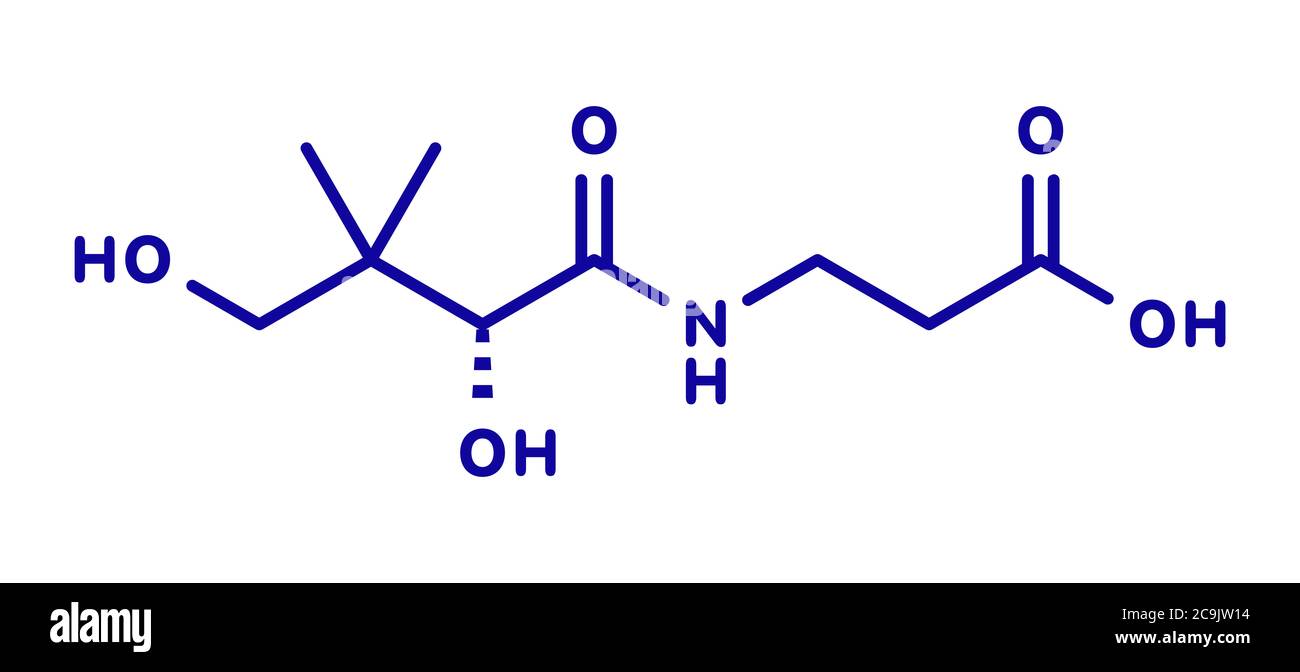 Pantetheine hi-res stock photography and images - Alamy