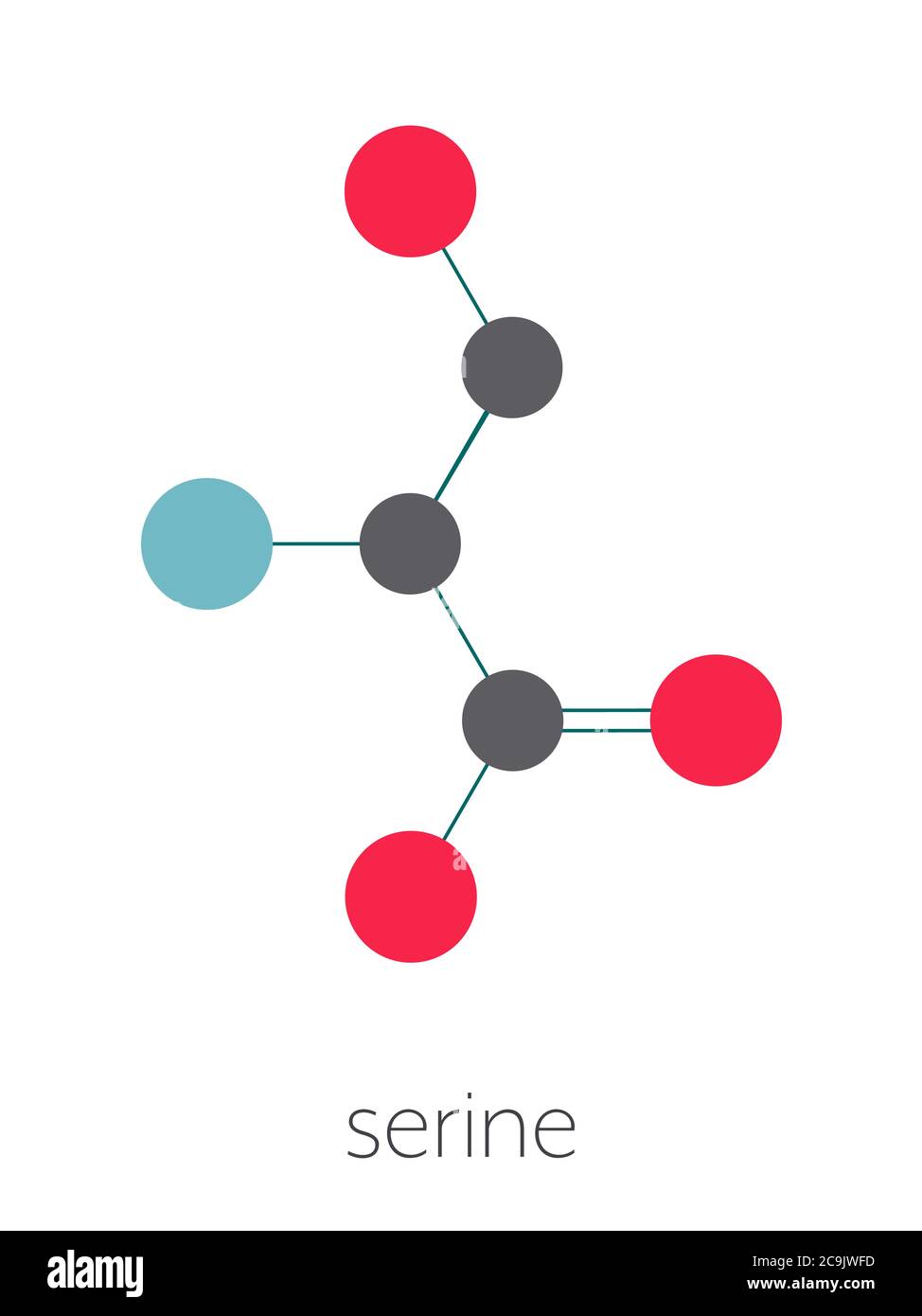 Serine (l-serine, Ser, S) amino acid molecule. Stylized skeletal ...