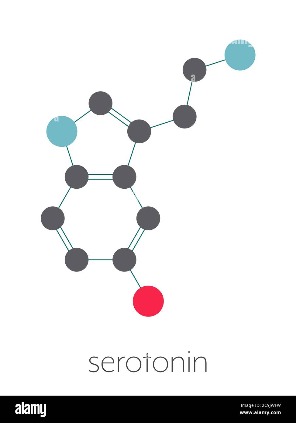 Serotonin neurotransmitter molecule. Stylized skeletal formula ...